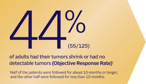 PADCEV® (enfortumab vedotin-ejfv) | About PADCEV